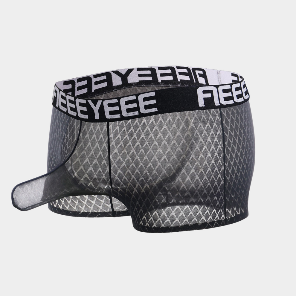 3-Pack Men's Ice Silk Trunks with Elephant Trunk Pouch - AFL 2003PJ ...